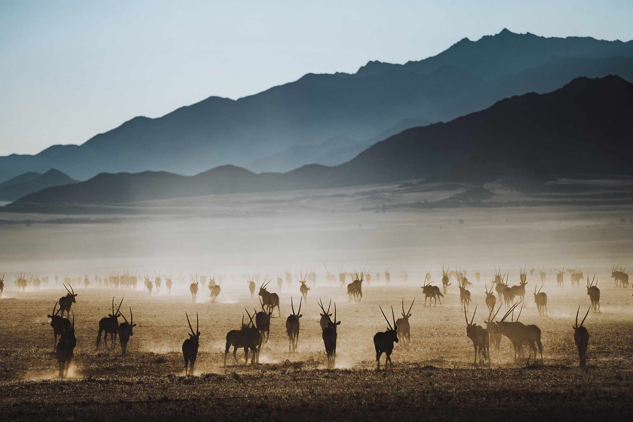 Digital Marketing for the Tourism and Hospitality Industry | Windhoek ...